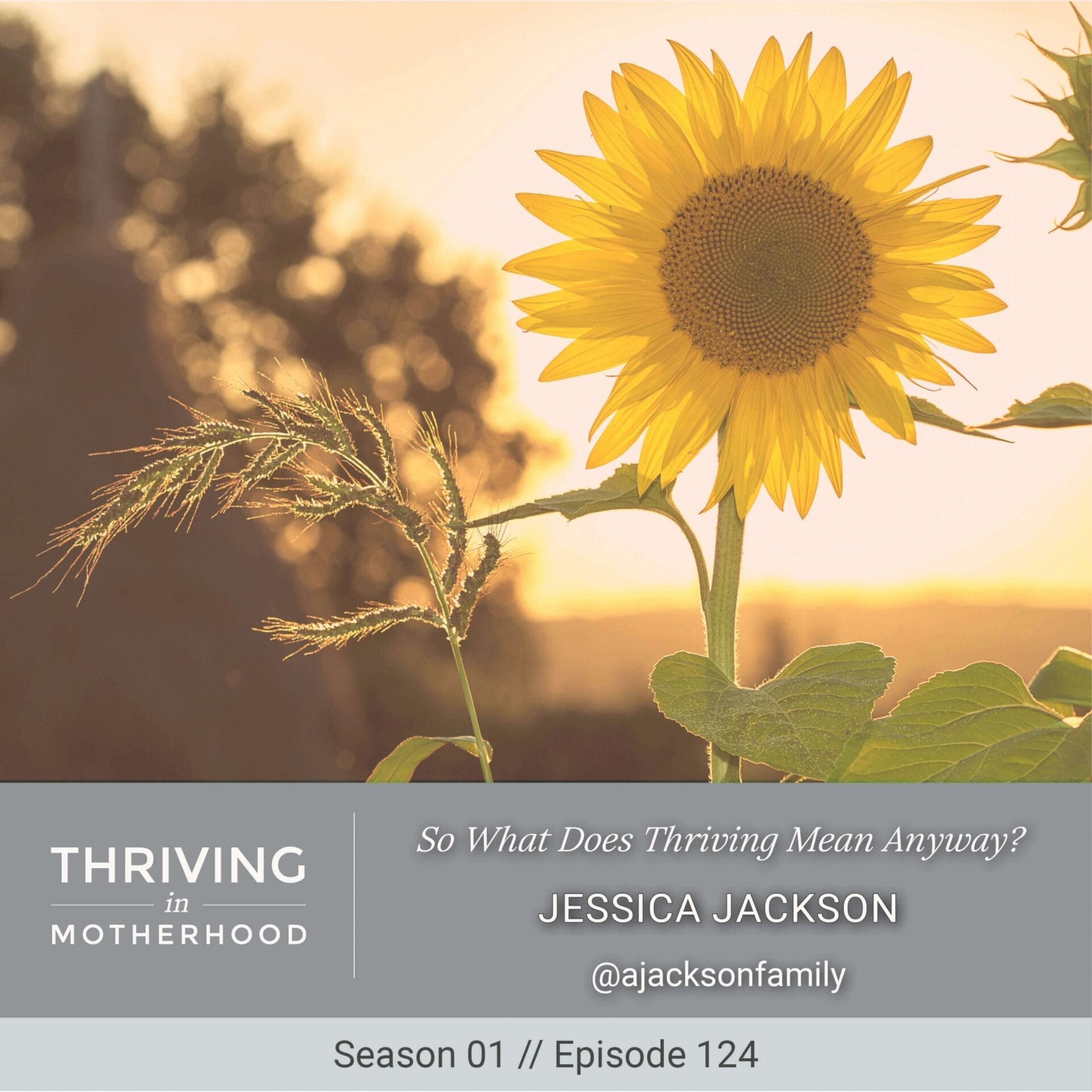 So What Does Thriving Mean Anyway? [Episode 124] - Thriving in ...